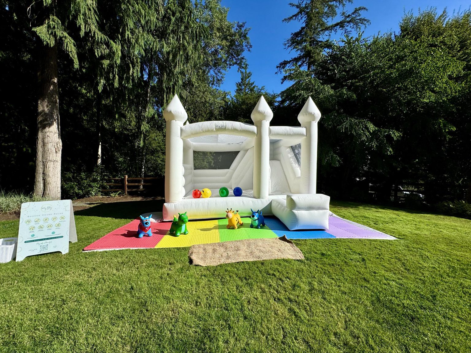 Seattle Bounce House Rentals | Party Baby Seattle